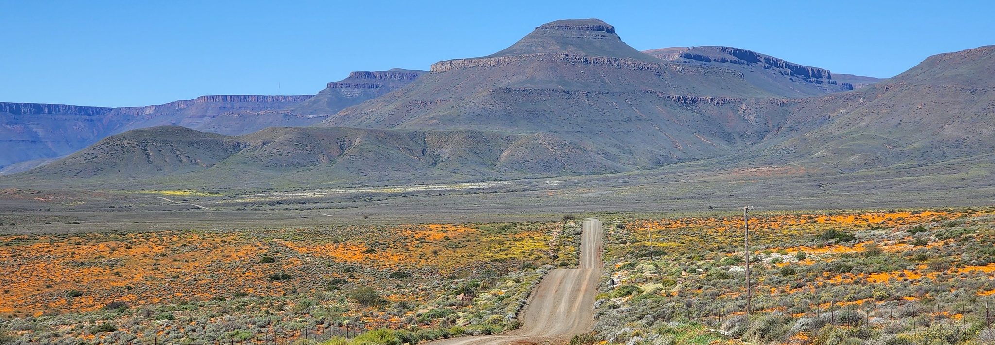 Agterpaaie – van Suid Afrika